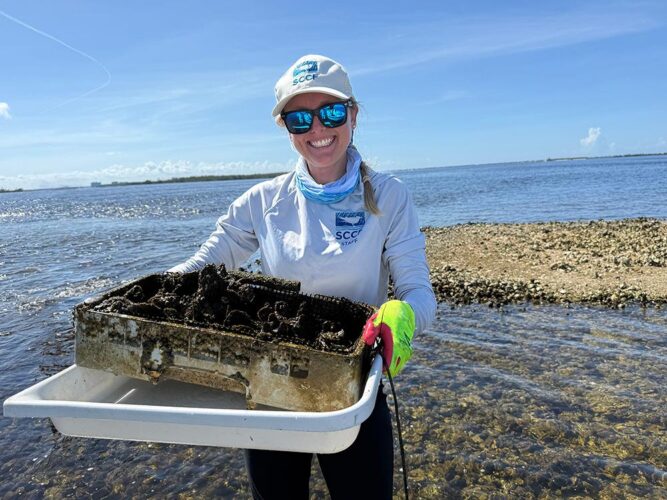 SCCF contributing to Smithsonian-led study - SANIBEL-CAPTIVA - Island ...